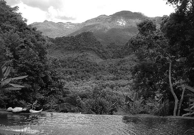 Archinfo | I ♥ Finland: Roger Connah