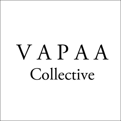Archinfo | VAPAA Collective: Architects have the potential to vision…